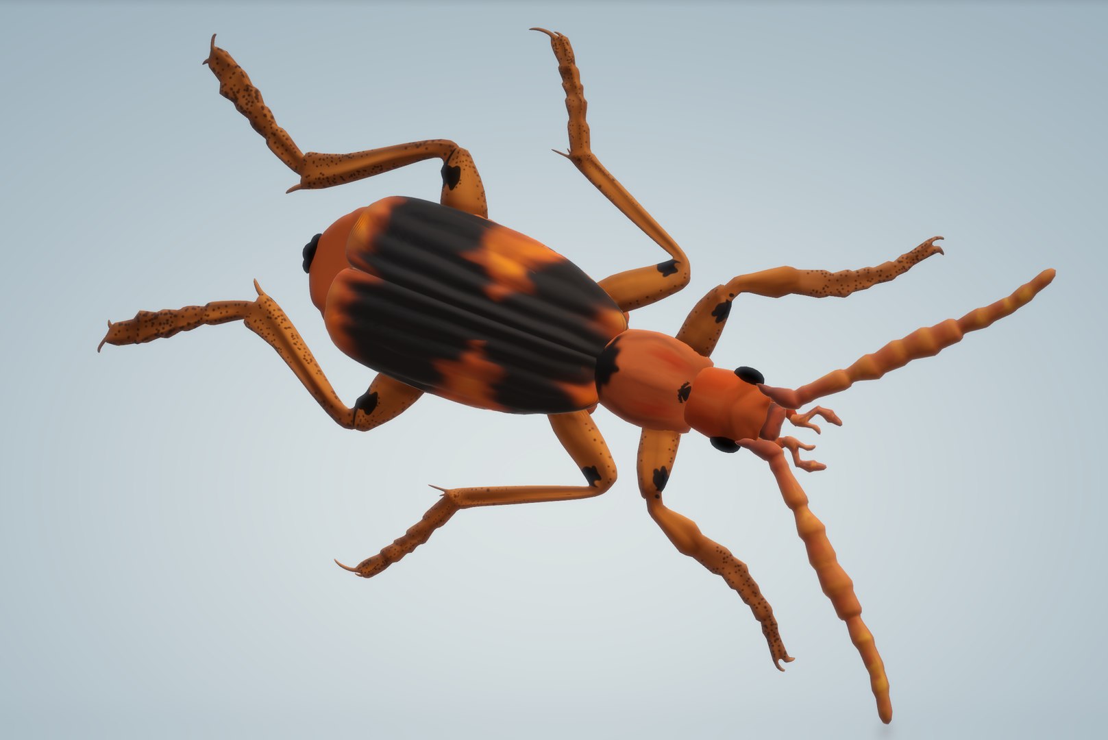 Beetle - Pheropsophus - realistic fbx obj and printable stl 3D model ...