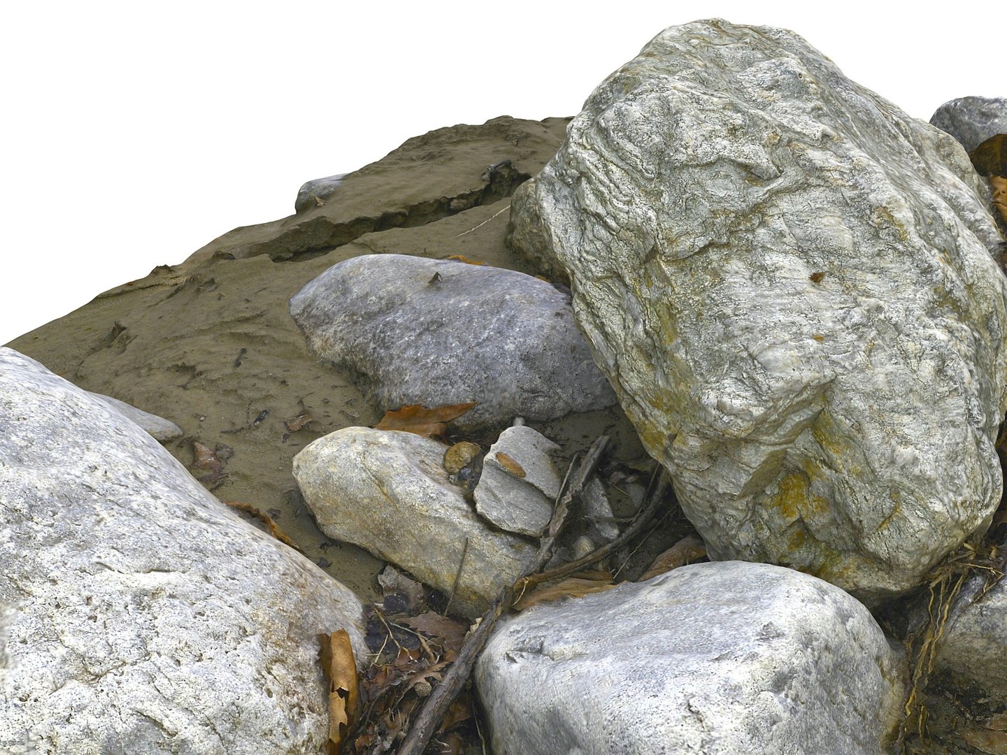 3D Forest Ground Rock 16k Model - TurboSquid 1328768