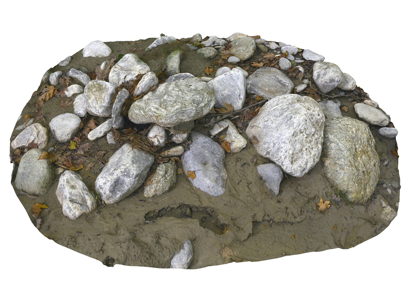3D Forest Ground Rock 16k Model - TurboSquid 1328768