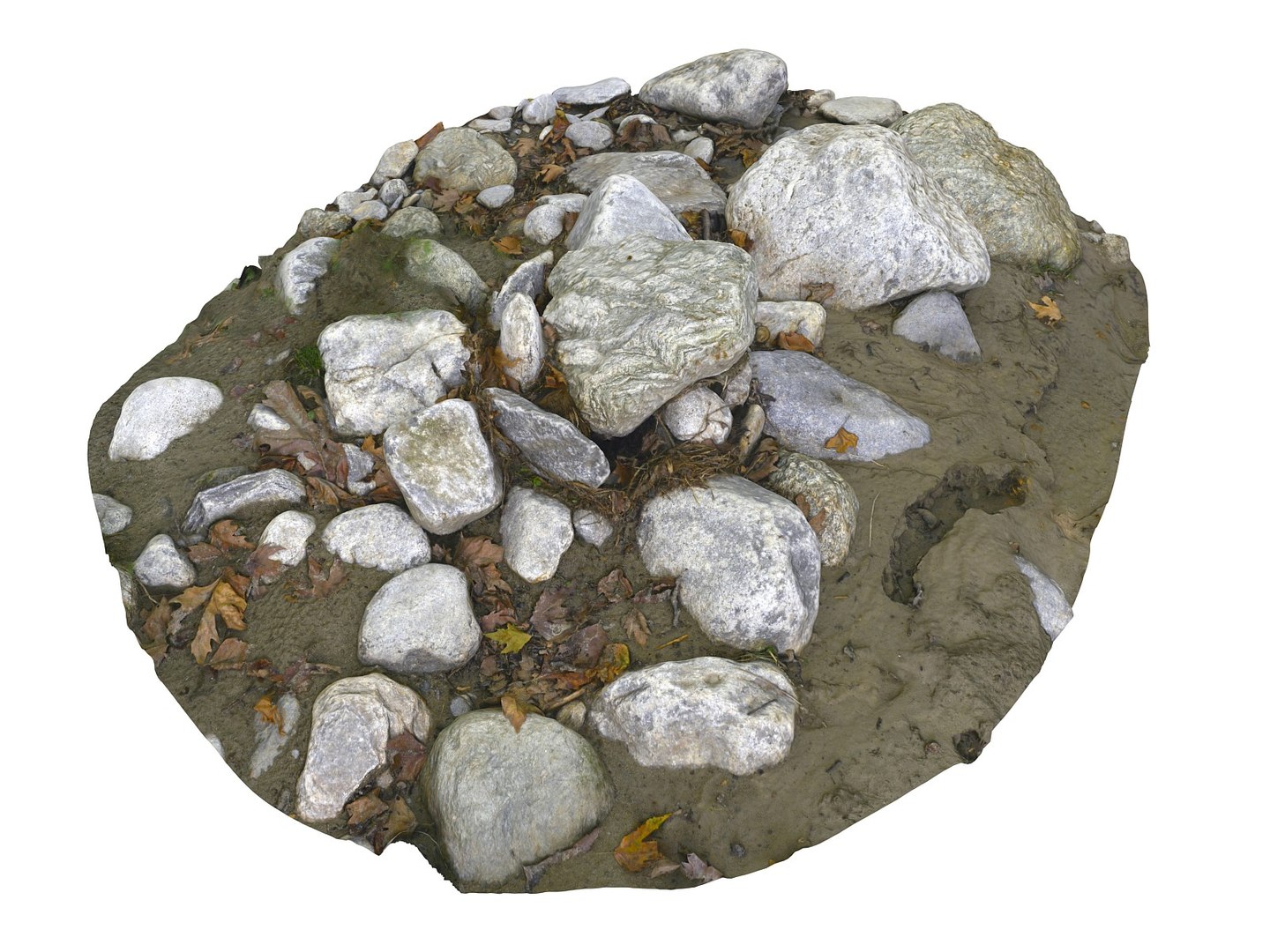 3D Forest Ground Rock 16k Model - TurboSquid 1328768