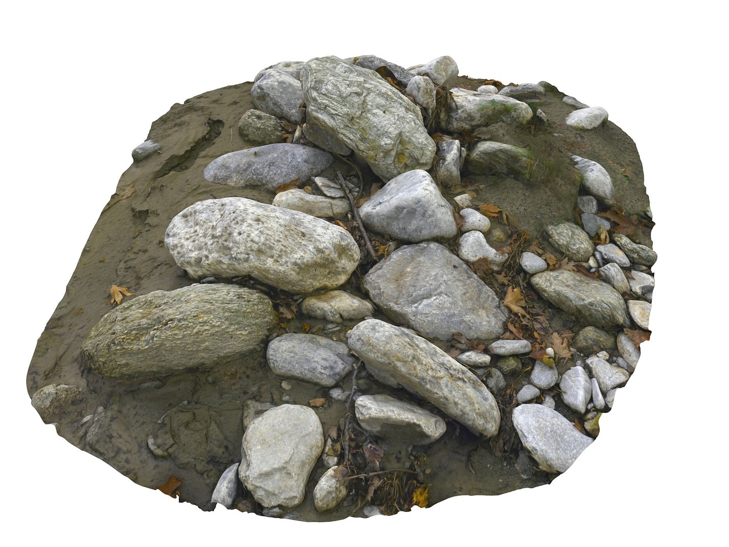 3D Forest Ground Rock 16k Model - TurboSquid 1328768