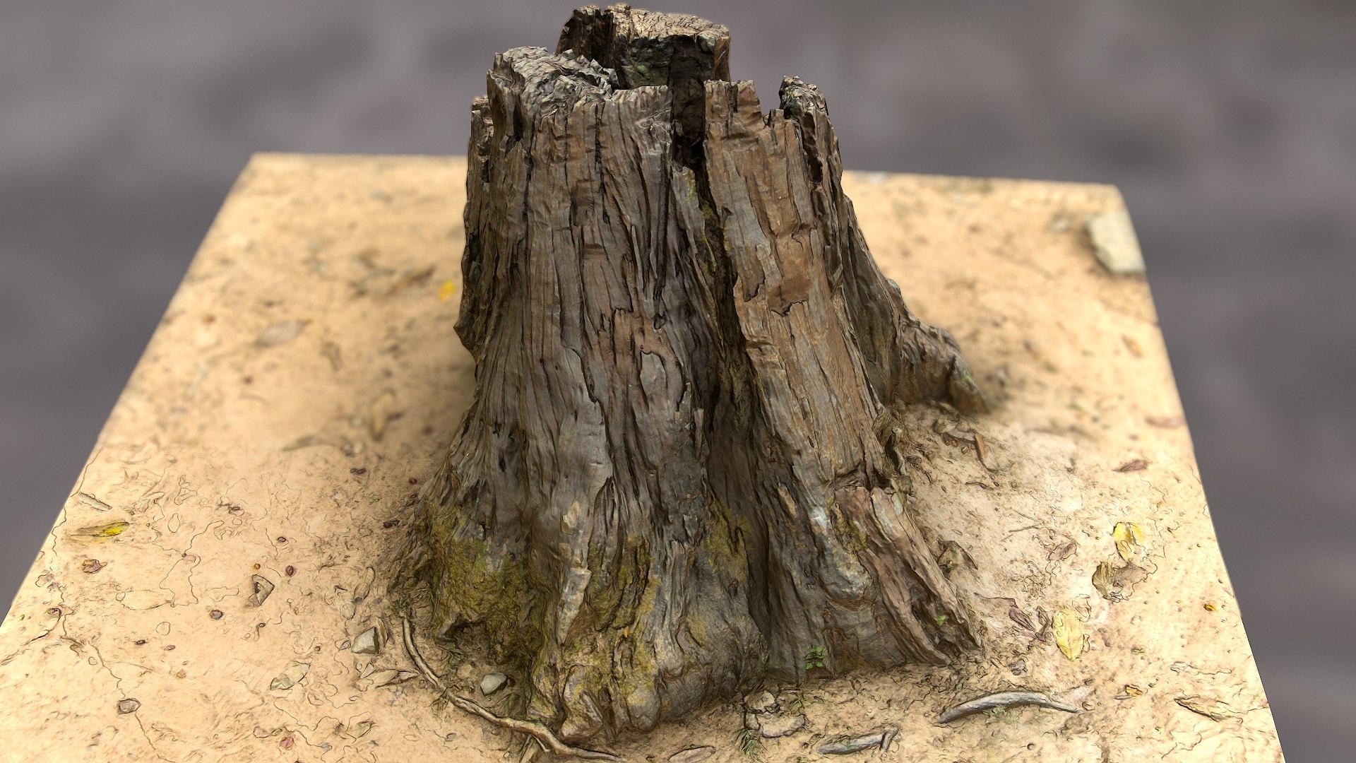 Tree Stump 3D Model - TurboSquid 1156897