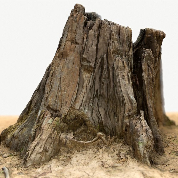 Tree stump 3D model - TurboSquid 1156897