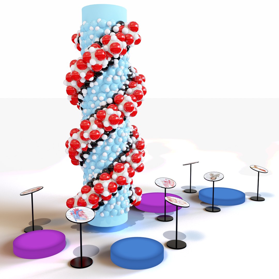 3d Model Of Museum Science Exhibits