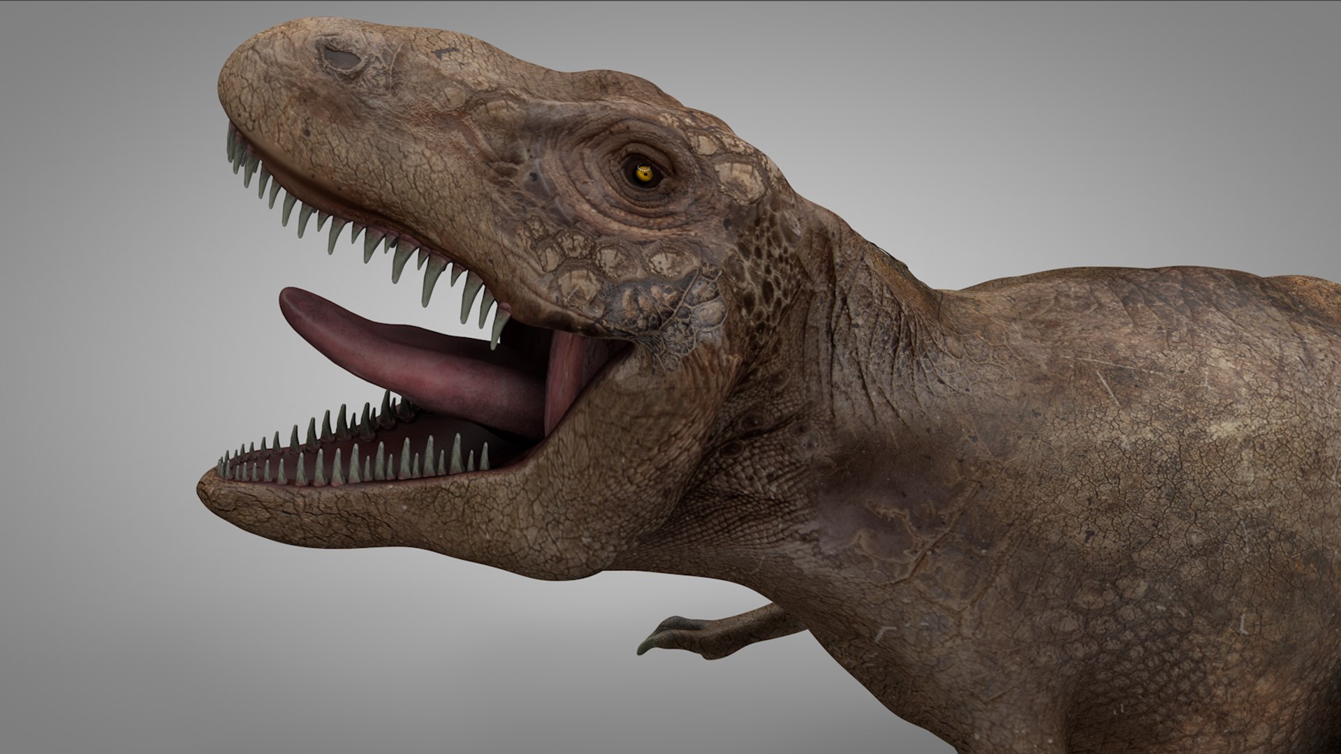 Rex L975 Animate 3D Model - TurboSquid 1628176