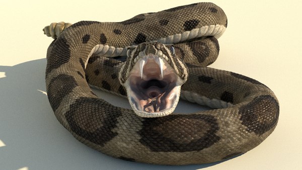 Rattlesnake Rigged Animated 3D - TurboSquid 1720532