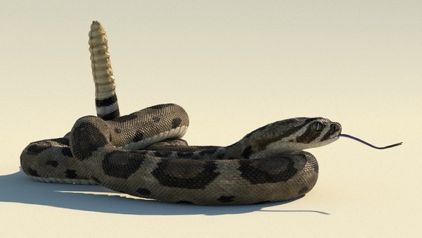 Rattlesnake Rigged Animated 3D - TurboSquid 1720532