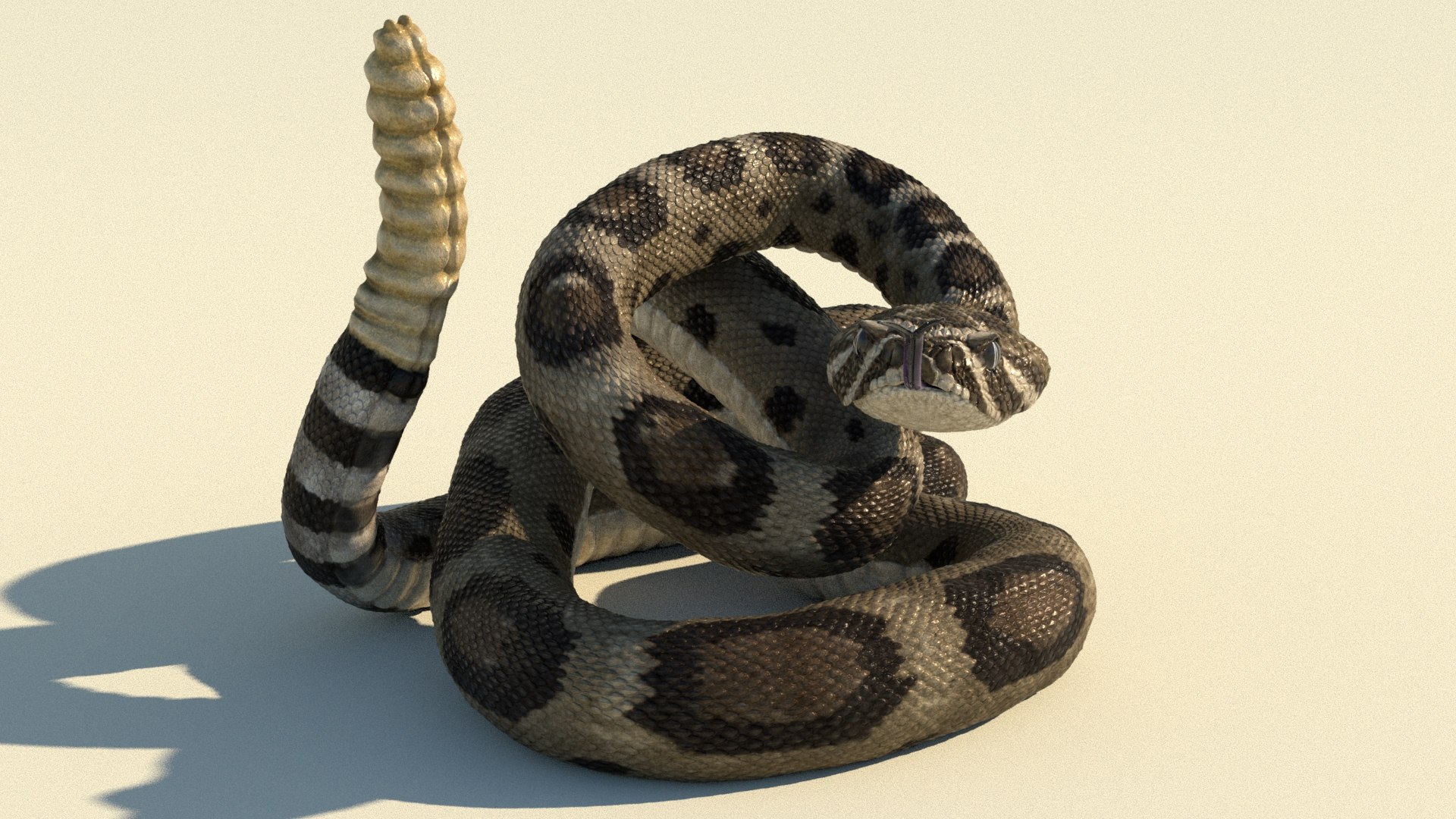 Rattlesnake Rigged Animated 3D - TurboSquid 1720532