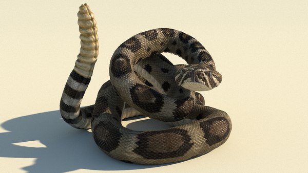 Rattlesnake Rigged Animated 3D - TurboSquid 1720532