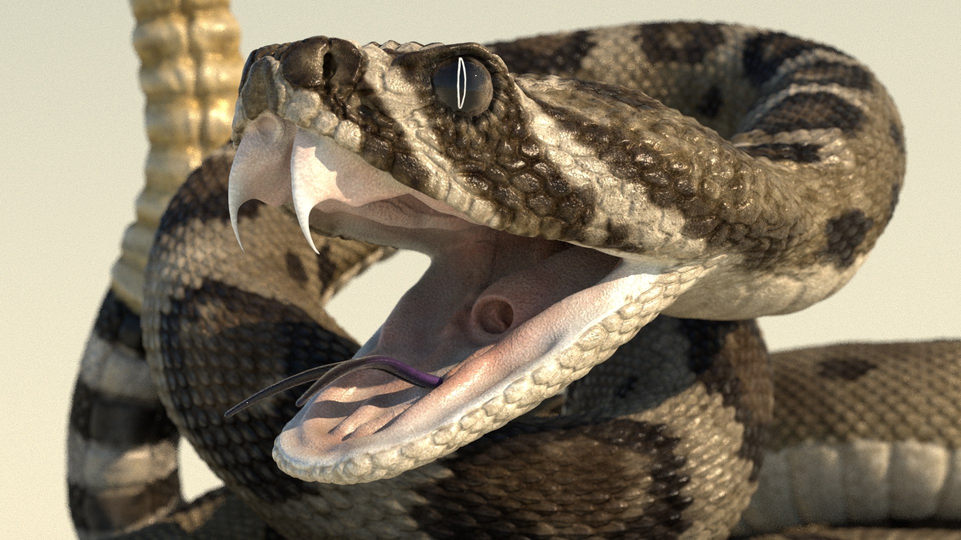 Rattlesnake Rigged Animated 3D - TurboSquid 1720532