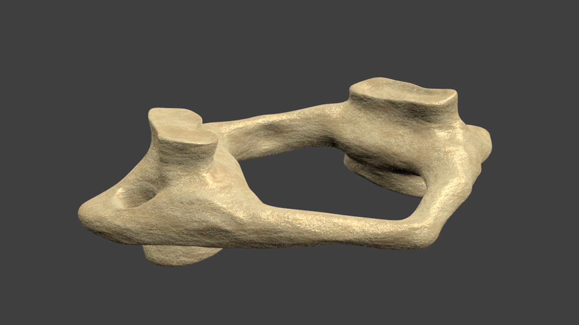 3ds atlas c1 vertebra