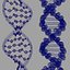 3d model of dna