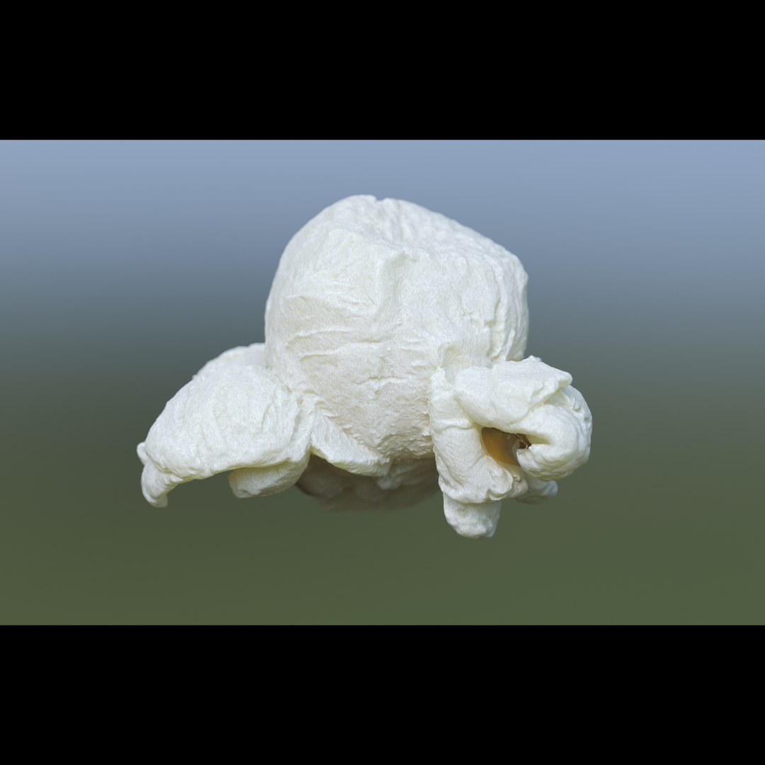 Popcorn Food Snack 3D Model - TurboSquid 1377431