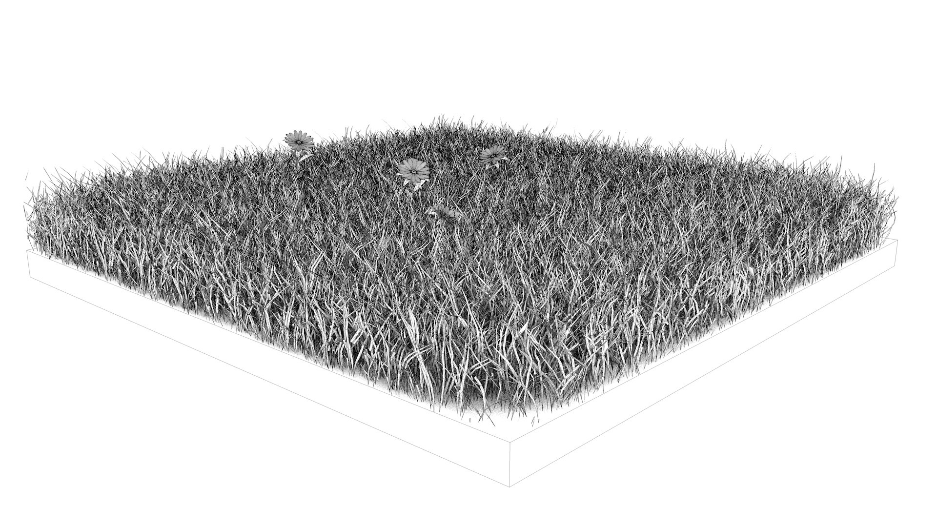 Grass 3D model - TurboSquid 1715598