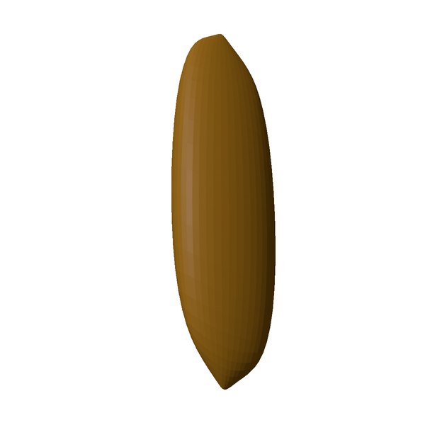 3D model Single Seed - TurboSquid 2030358