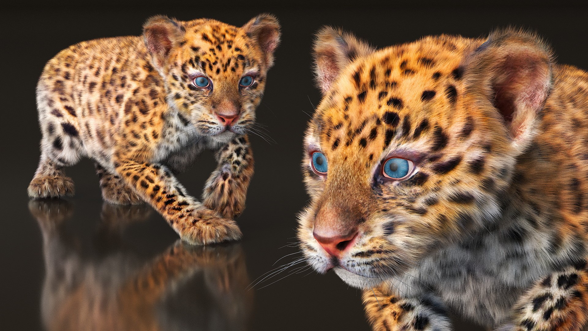 3D Leopard Cub Sneaking Pose With Fur - TurboSquid 2318903