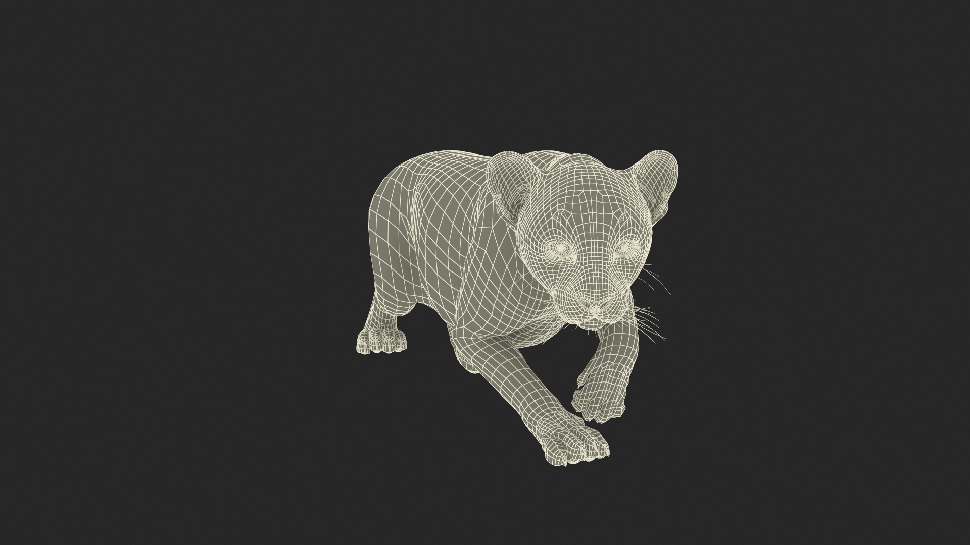 3D Leopard Cub Sneaking Pose With Fur - TurboSquid 2318903
