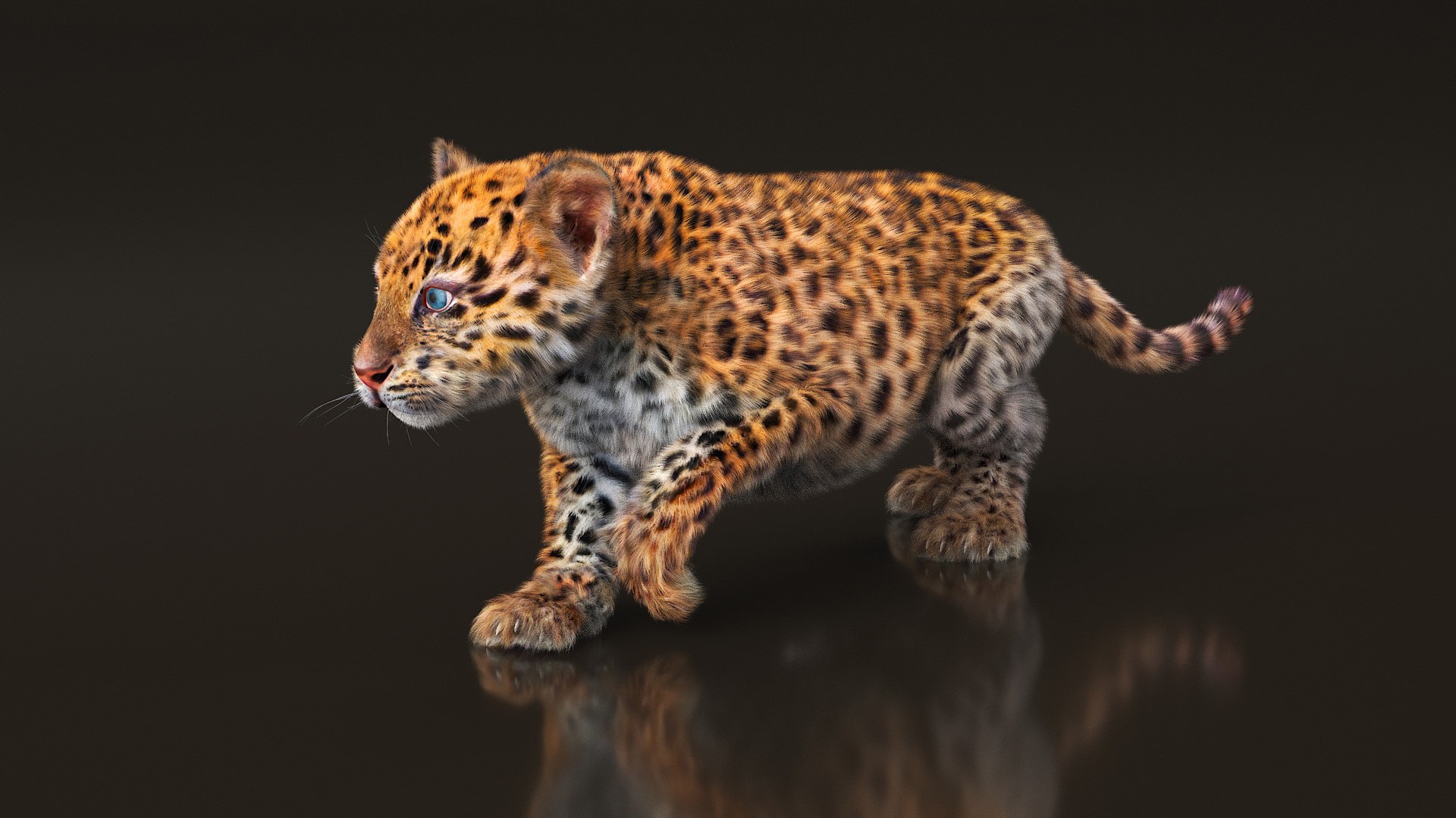 3D Leopard Cub Sneaking Pose With Fur - TurboSquid 2318903