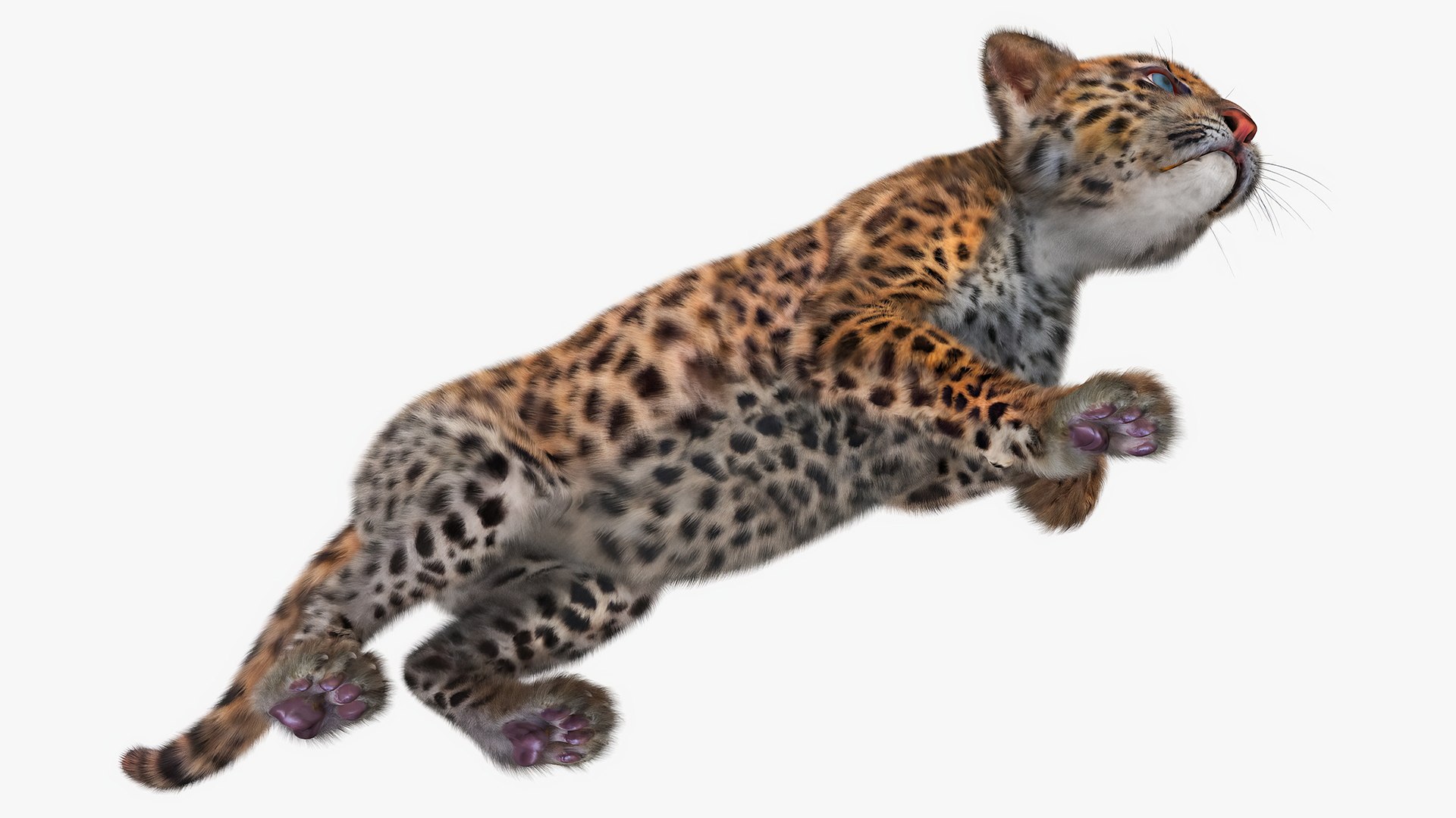 3D Leopard Cub Sneaking Pose With Fur - TurboSquid 2318903