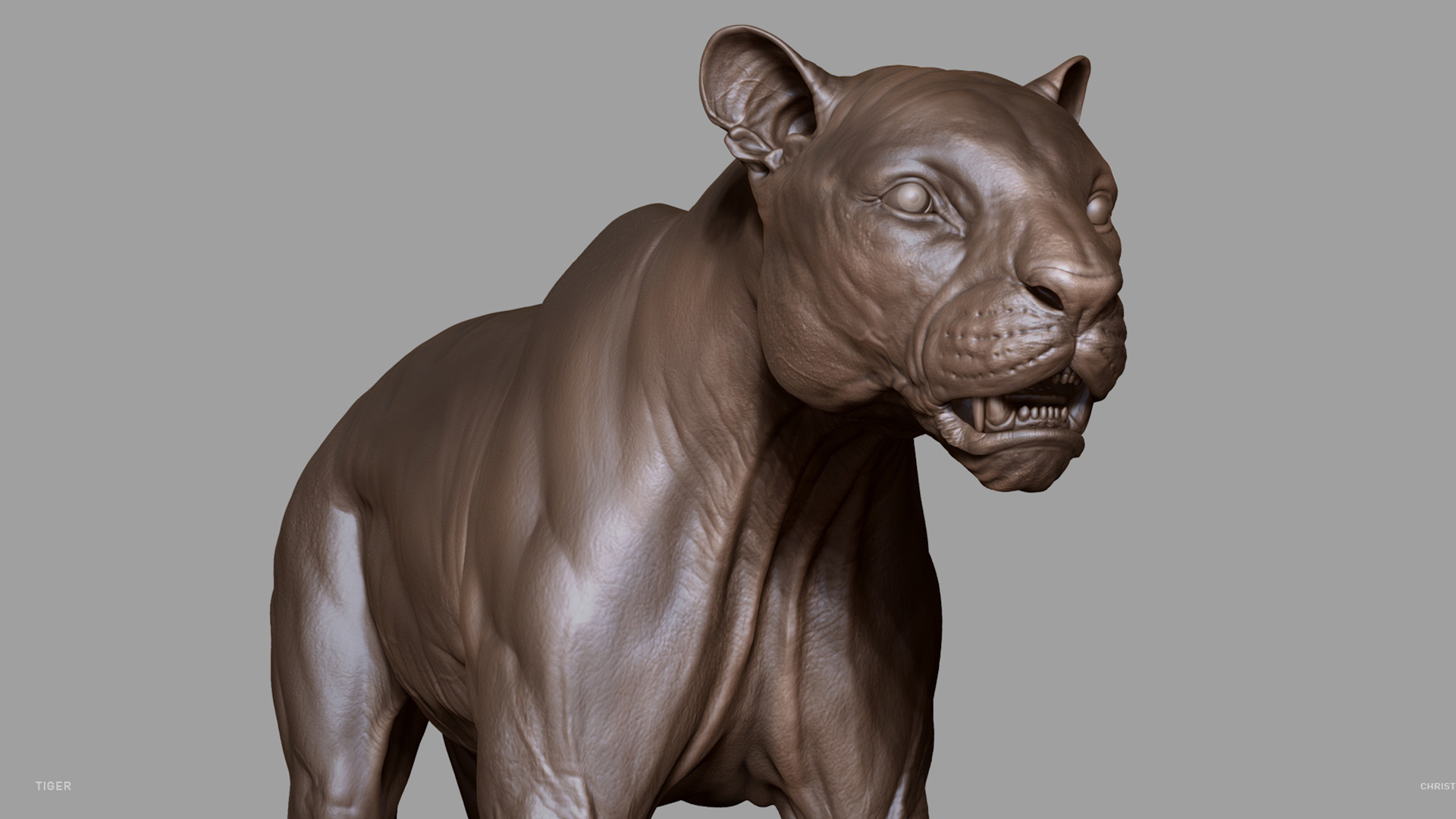 3D Tiger model - TurboSquid 1721423