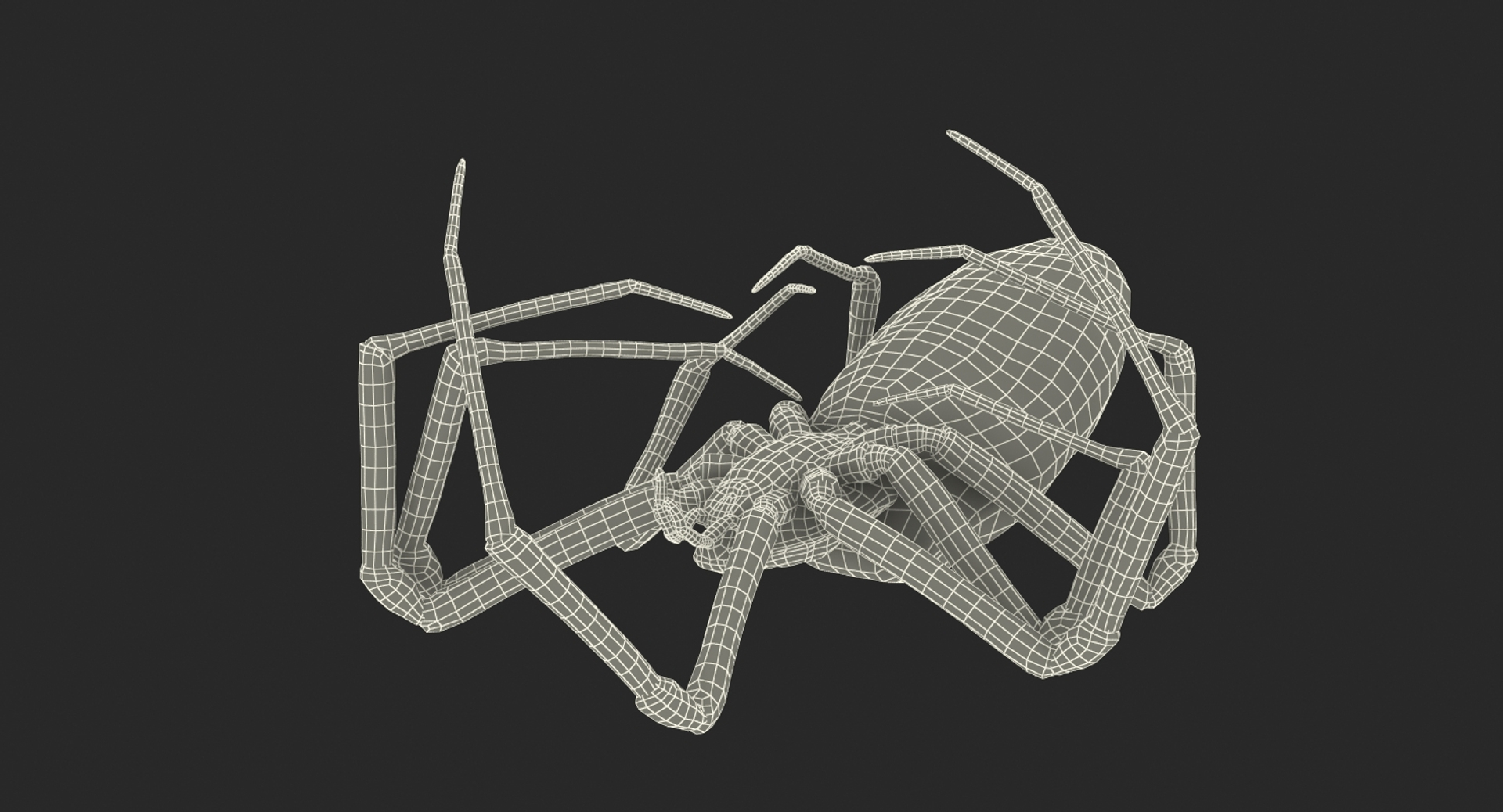 3D Dead Corn Spider Fur - TurboSquid 1188577