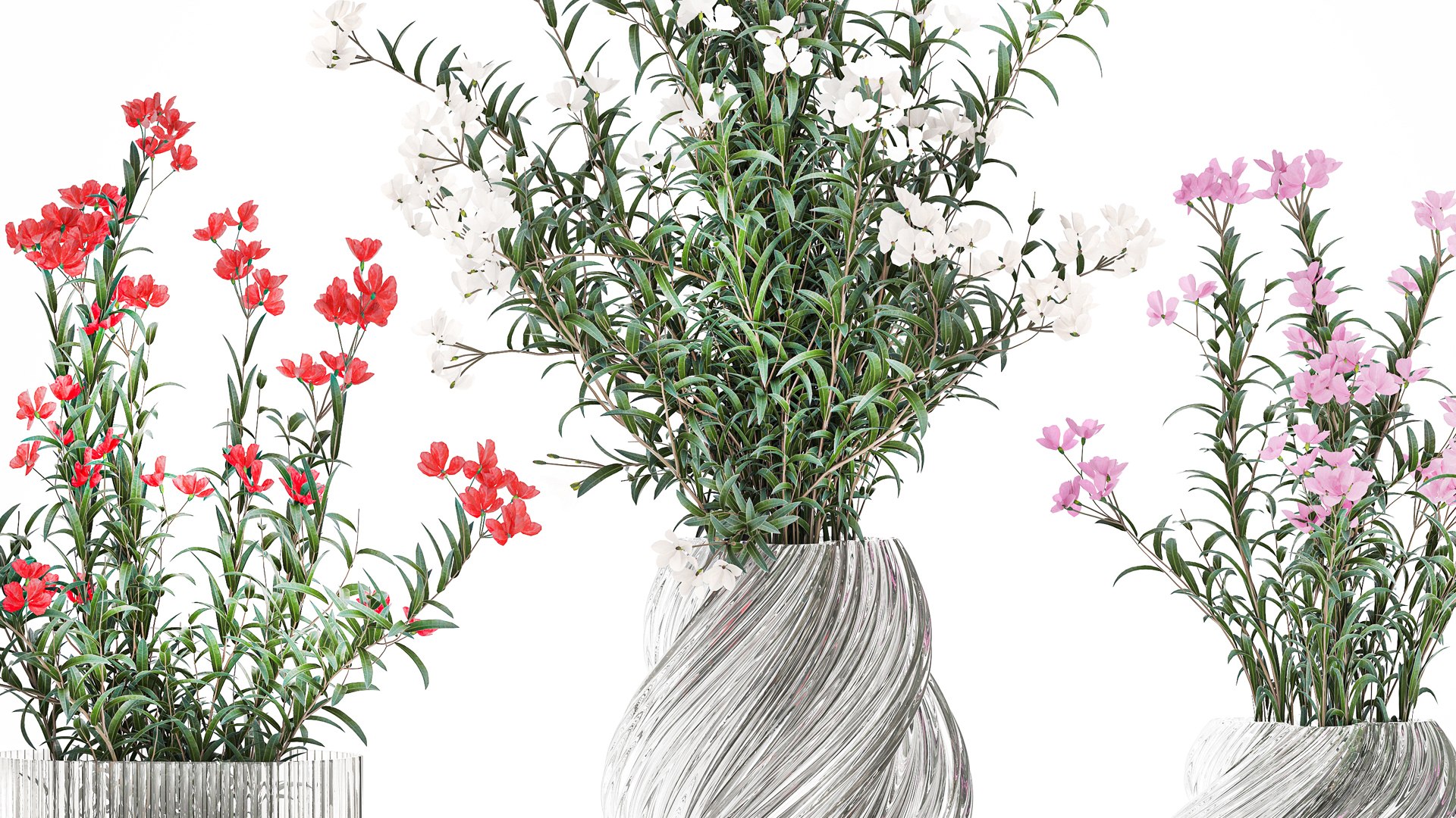 Beautiful Bouquets Flowers Oleander Nerium Vase Decor 3D Model ...