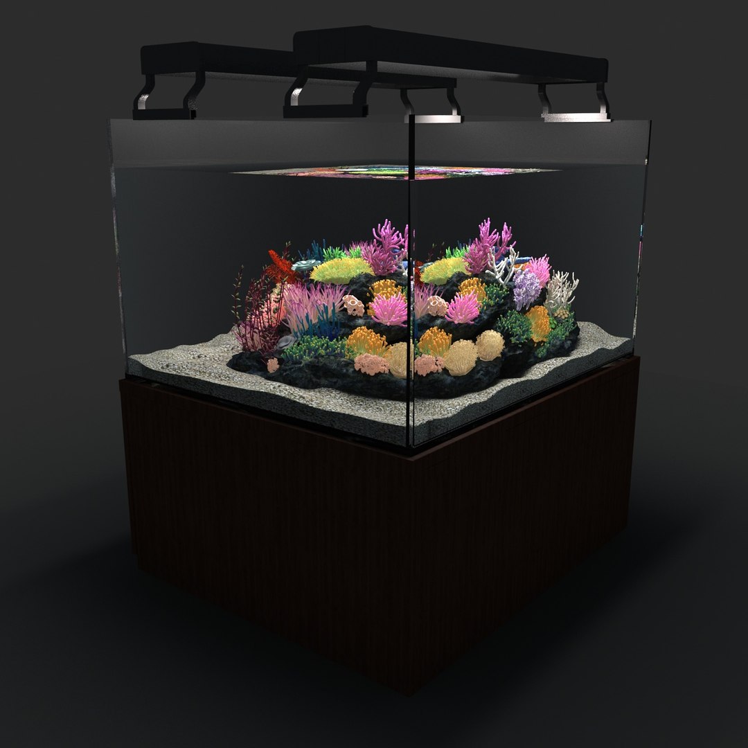 3d Marine Aquarium 02