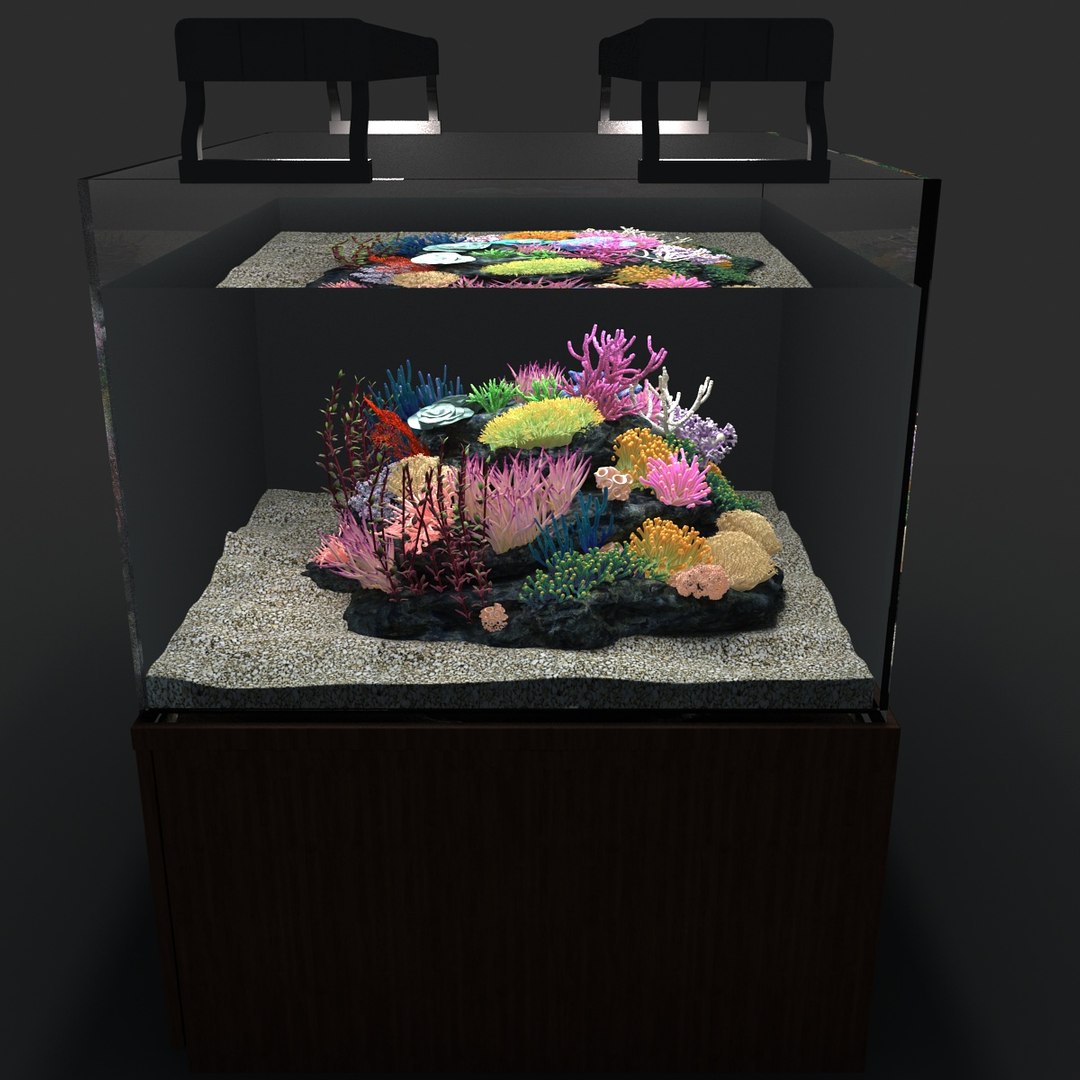 3d Marine Aquarium 02
