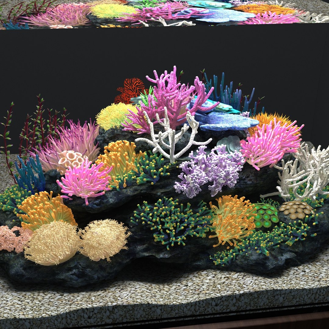 3d Marine Aquarium 02