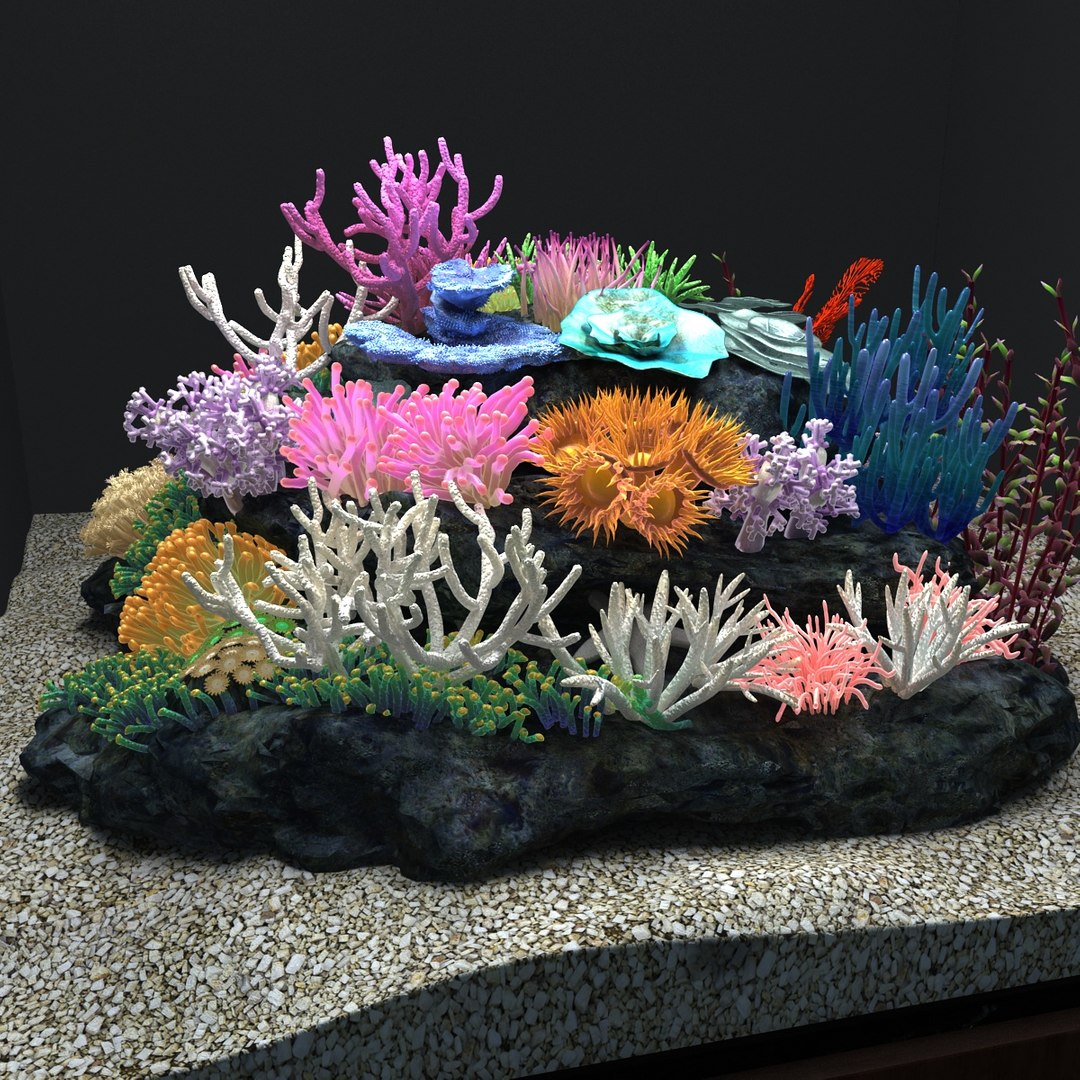3d Marine Aquarium 02
