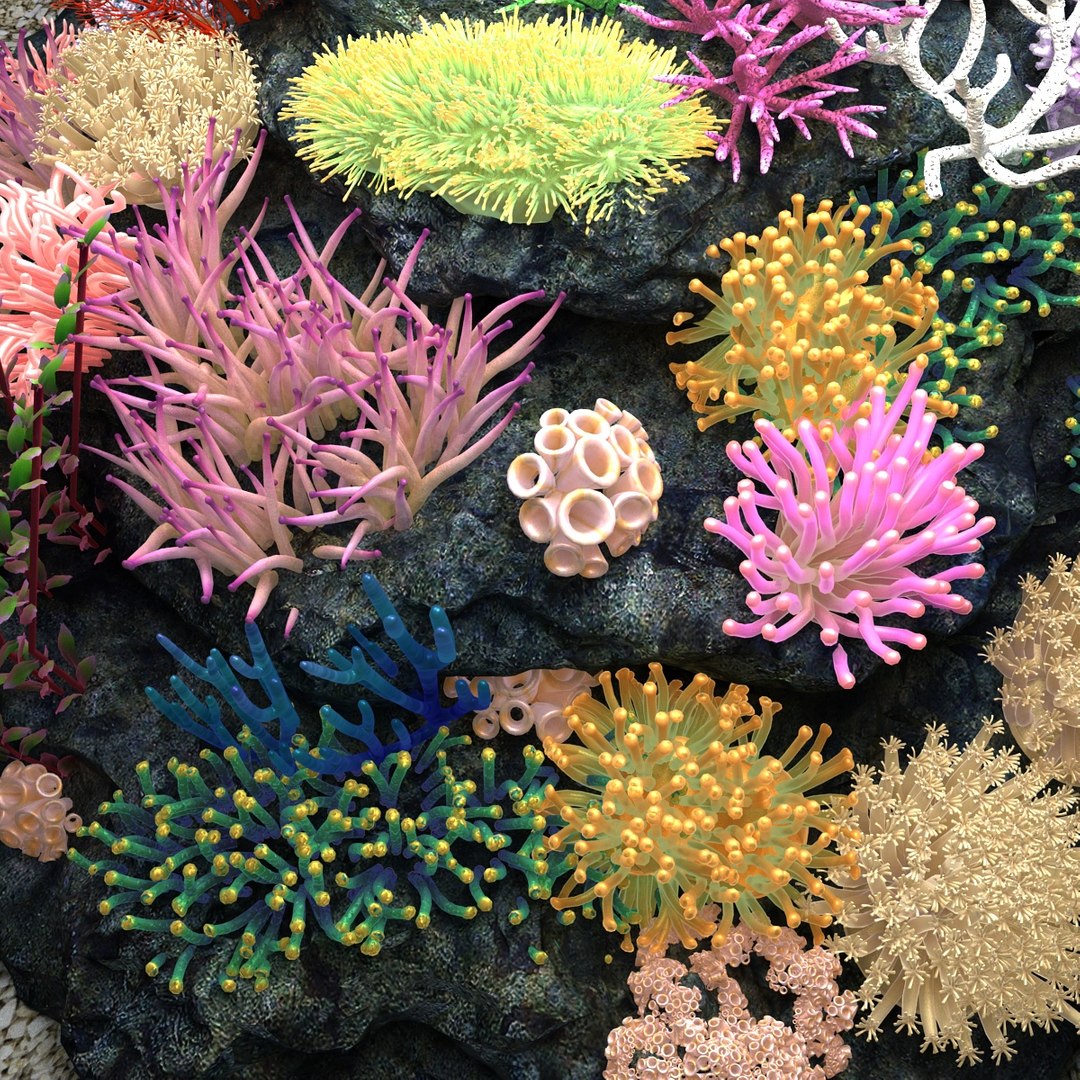 3d Marine Aquarium 02