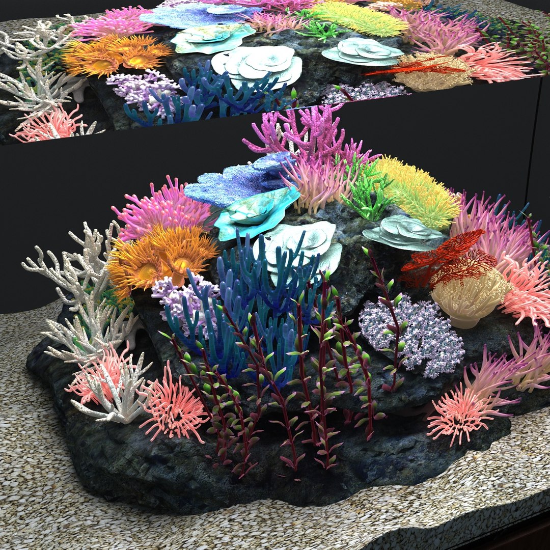 3d Marine Aquarium 02