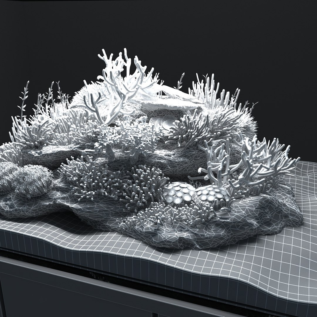 3d Marine Aquarium 02