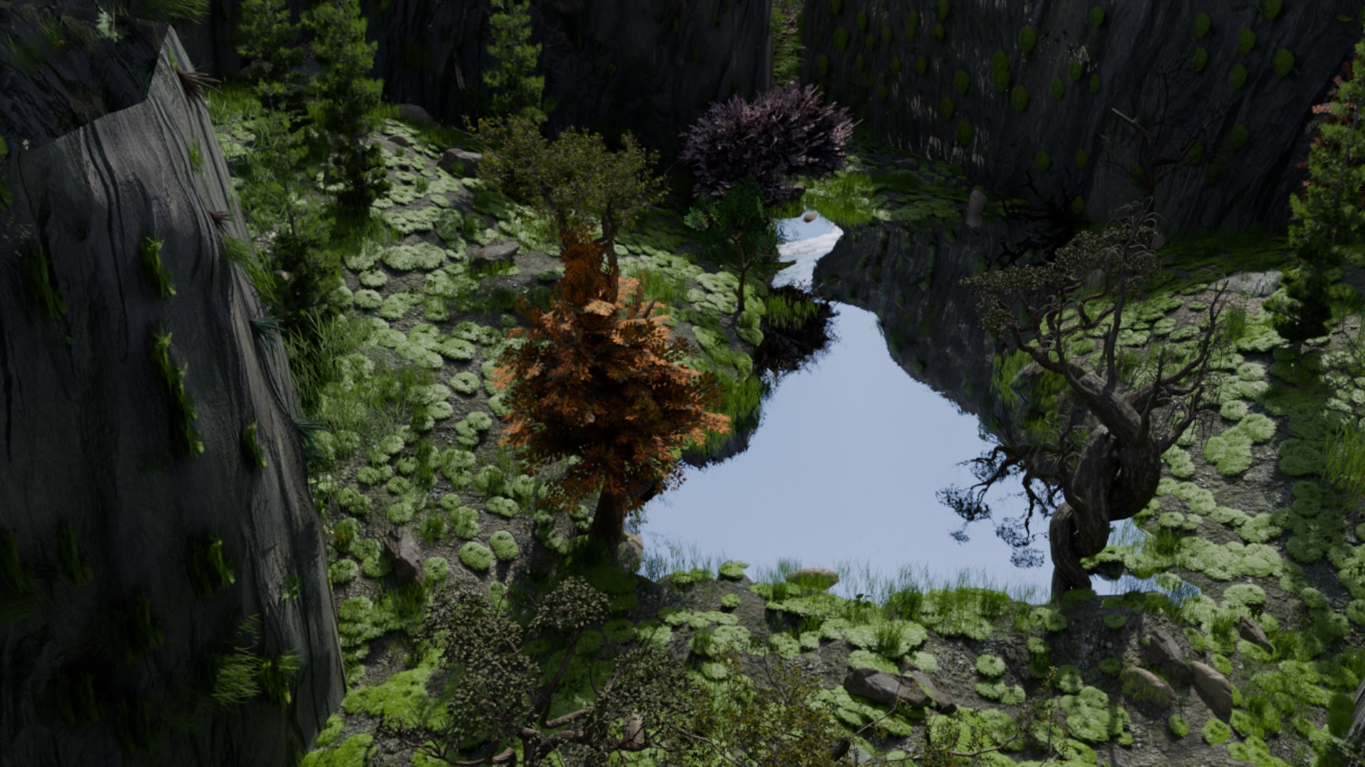 3D Ultra Realistic Forest Environment Kit 4 Section Modular Map With ...