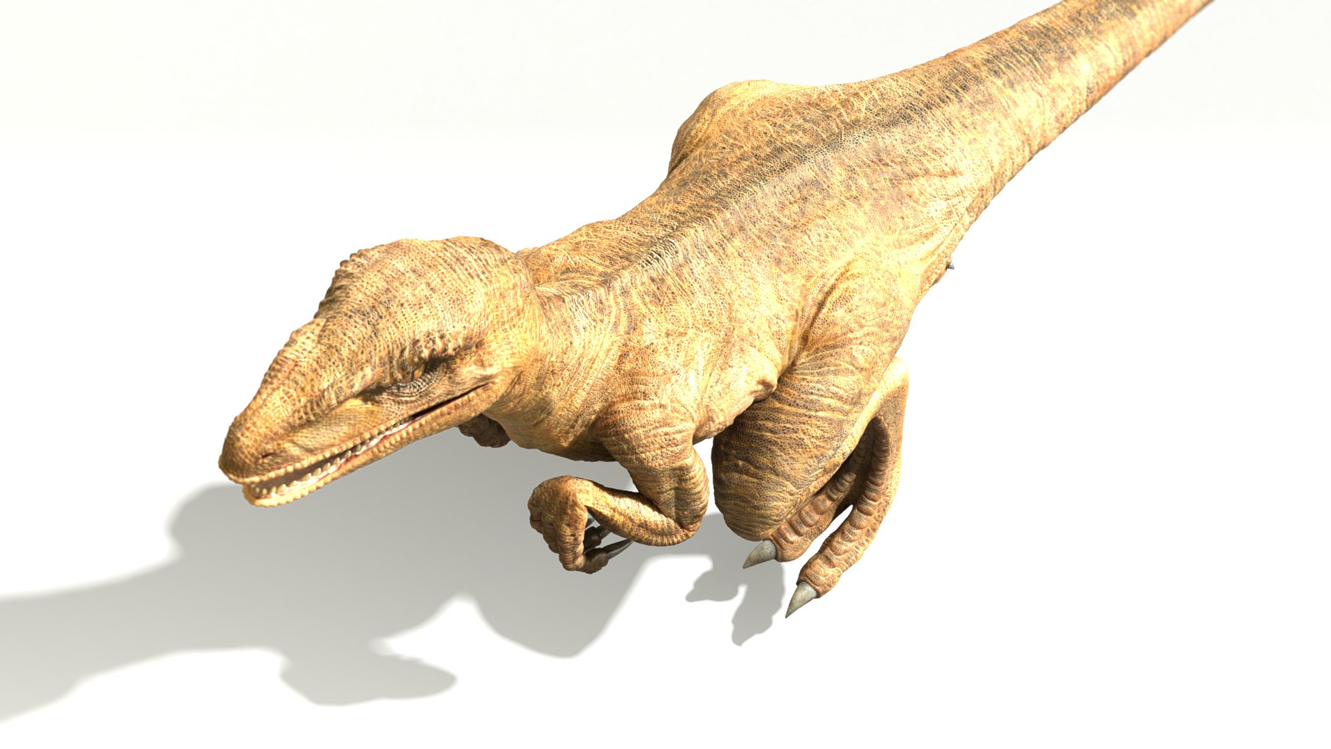 Max Raptor Arnold Zbrush