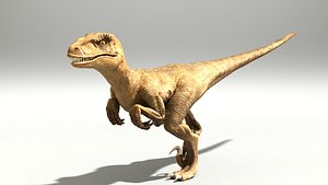Dinosaur 3D Models for Download | TurboSquid