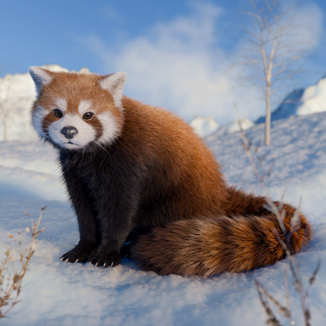 3D Red Panda Rigged Animated Model - TurboSquid 2329273