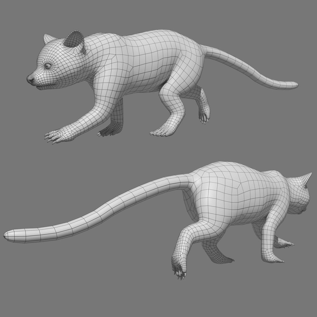 3D Red Panda Rigged Animated Model - TurboSquid 2329273