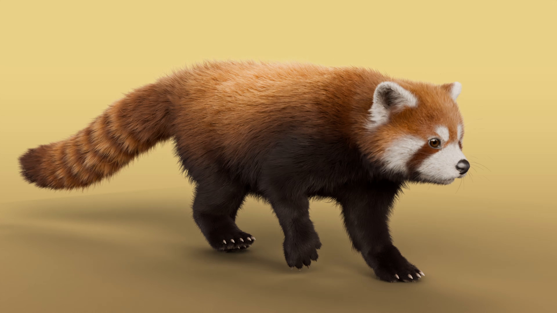 3D Red Panda Rigged Animated Model - TurboSquid 2329273