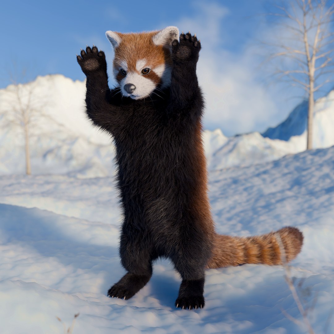 3D Red Panda Rigged Animated Model - TurboSquid 2329273