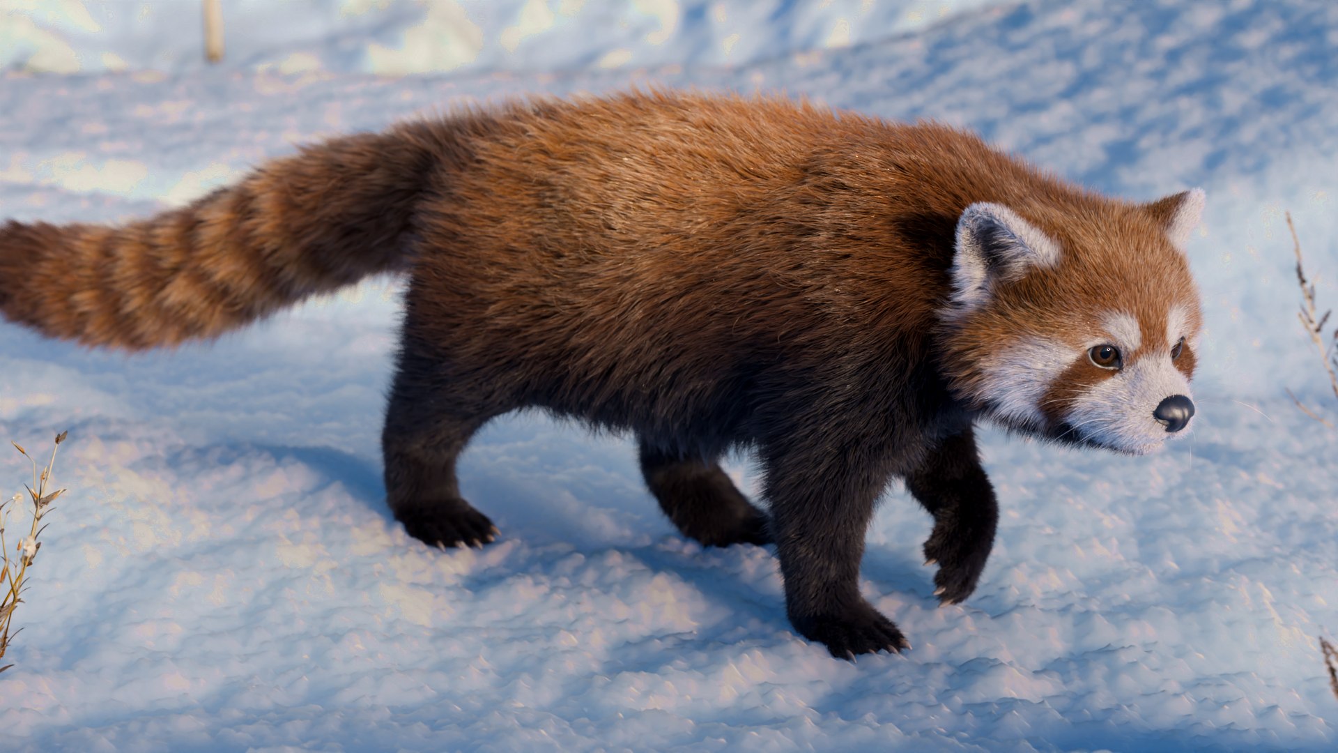3D Red Panda Rigged Animated Model - TurboSquid 2329273