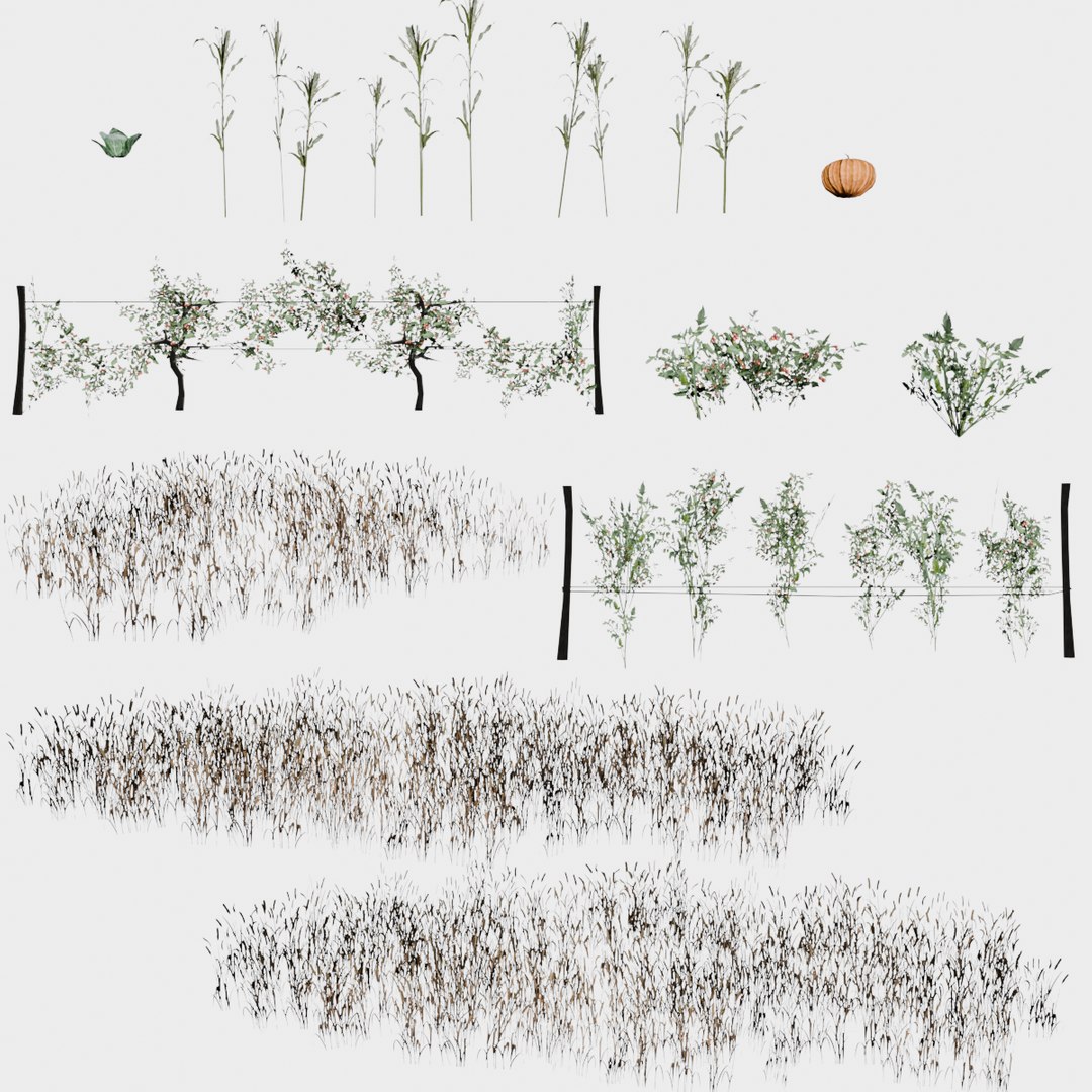 10 In 1 Food Crops Collection - Game Assets - Low Poly 3D Model ...