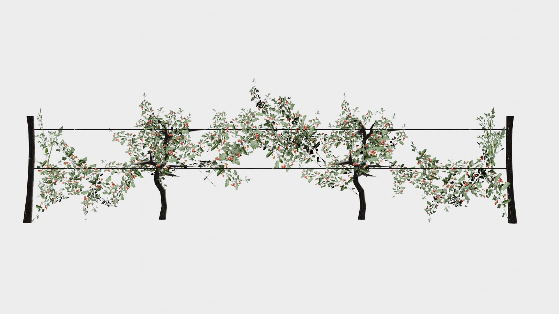 10 In 1 Food Crops Collection - Game Assets - Low Poly 3D Model ...