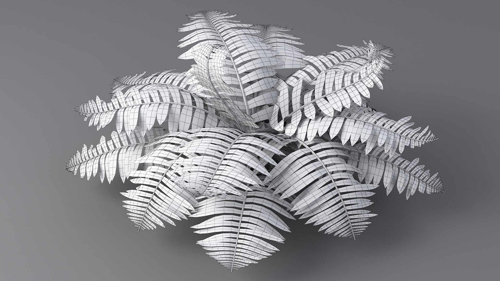 Fern Leaf Tropical Plant Grass Flower Bush Tree Garden Land Forest Park ...