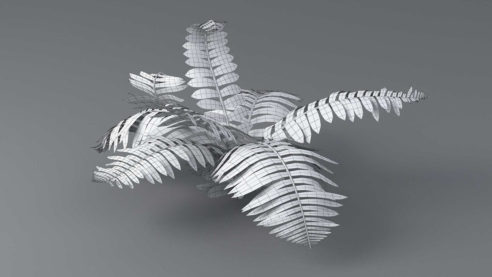 Fern Leaf Tropical Plant Grass Flower Bush Tree Garden Land Forest Park ...