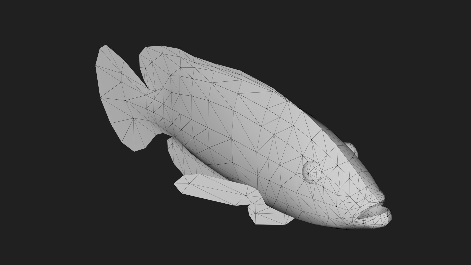 Grouper Model - TurboSquid 2118877