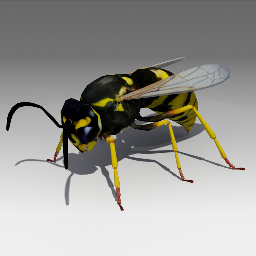 3D Model Wasp Fly - TurboSquid 1159401