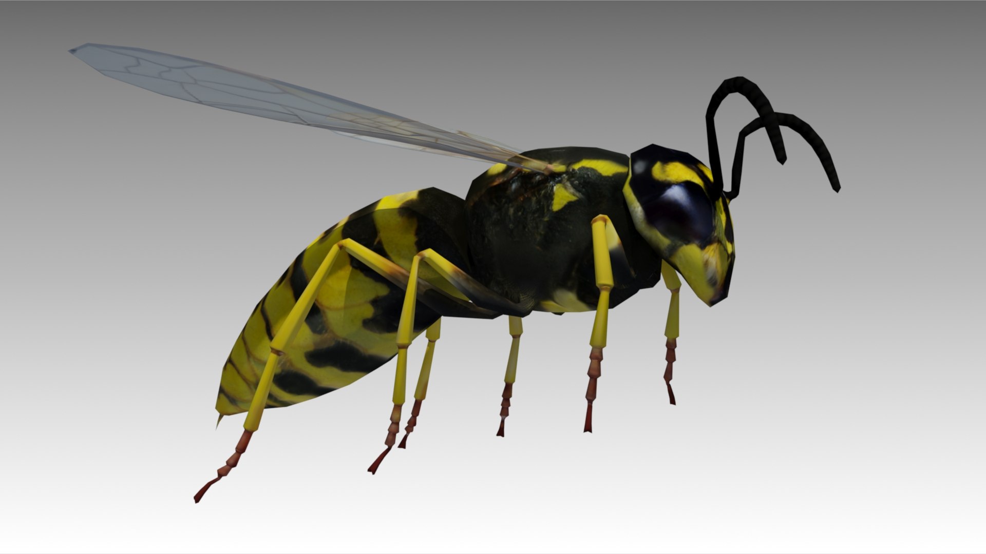 3D Model Wasp Fly - TurboSquid 1159401