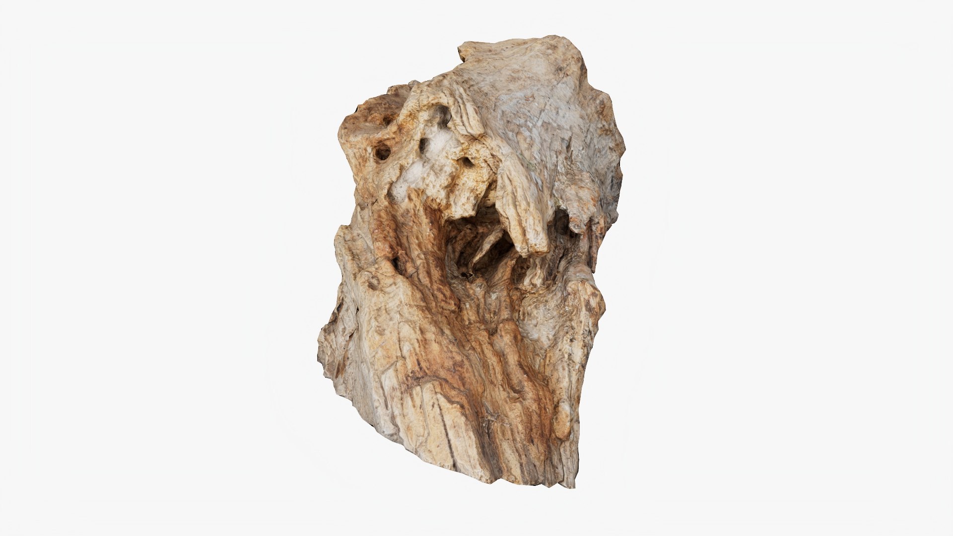 3D Scanned Trimmed Tree Wood 12 - TurboSquid 2434738