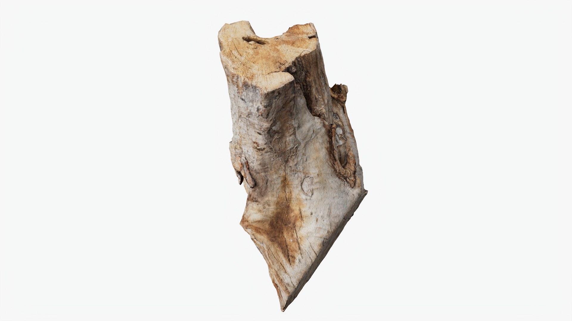 3D Scanned Trimmed Tree Wood 12 - TurboSquid 2434738